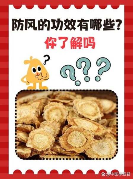 防风的功效与作用有哪些_防风能治疗哪些疾病-第1张图片-山城妙识 防风的功效与作用有哪些_防风能治疗哪些疾病-第1张图片-山城妙识