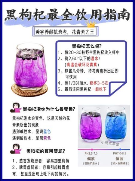 黑枸杞的功效与作用及食用方法_黑枸杞的禁忌有哪些-第3张图片-山城妙识 黑枸杞的功效与作用及食用方法_黑枸杞的禁忌有哪些-第3张图片-山城妙识
