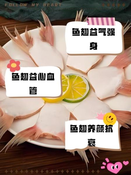 鱼翅的营养价值及功效与作用_鱼翅吃了有什么好处-第3张图片-山城妙识 鱼翅的营养价值及功效与作用_鱼翅吃了有什么好处-第3张图片-山城妙识