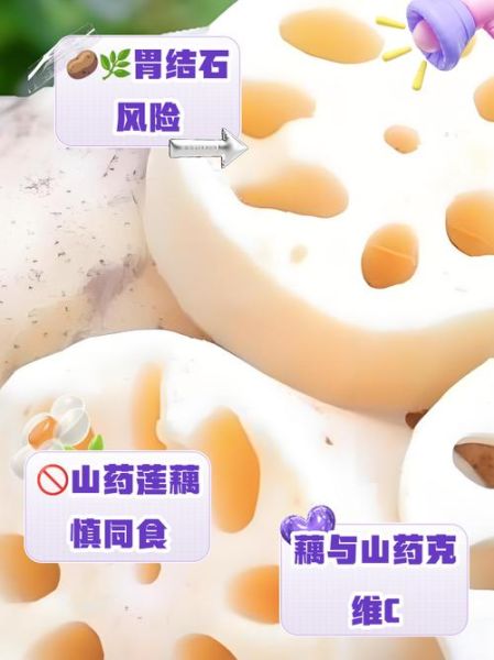 藕和什么一起吃会中毒_哪些食物与藕相克-第2张图片-山城妙识 藕和什么一起吃会中毒_哪些食物与藕相克-第2张图片-山城妙识