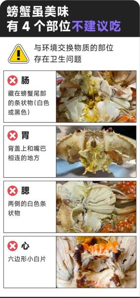 螃蟹一次能吃几个_吃螃蟹安全上限是多少-第1张图片-山城妙识 螃蟹一次能吃几个_吃螃蟹安全上限是多少-第1张图片-山城妙识