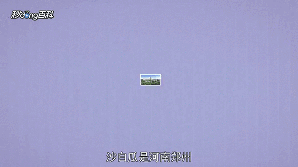 伊丽莎白瓜怎么吃_伊丽莎白瓜吃法大全-第1张图片-山城妙识