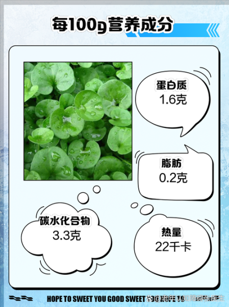 马蹄草熬水喝治疗什么_马蹄草煮水的功效与禁忌-第1张图片-山城妙识 马蹄草熬水喝治疗什么_马蹄草煮水的功效与禁忌-第1张图片-山城妙识