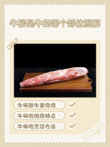 牛柳是牛的哪个部位_牛柳和里脊的区别-第3张图片-山城妙识 牛柳是牛的哪个部位_牛柳和里脊的区别-第3张图片-山城妙识