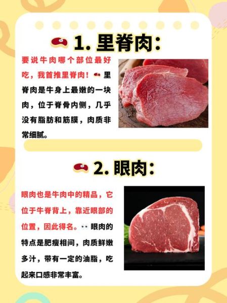牛肉和什么一起吃最好_牛肉不能和什么一起吃-第3张图片-山城妙识