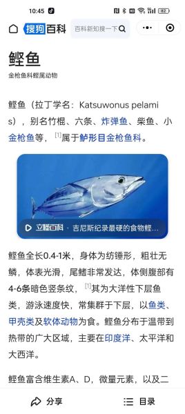 鲣怎么读_鲣鱼是什么鱼-第1张图片-山城妙识 鲣怎么读_鲣鱼是什么鱼-第1张图片-山城妙识