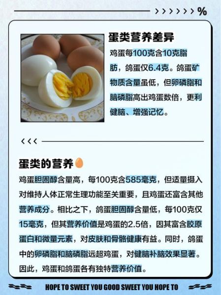 鸽子蛋和鸡蛋哪个更营养_鸽子蛋顶几个鸡蛋-第2张图片-山城妙识 鸽子蛋和鸡蛋哪个更营养_鸽子蛋顶几个鸡蛋-第2张图片-山城妙识