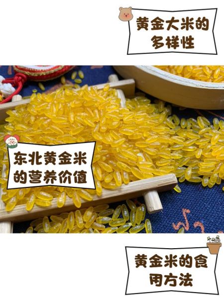 黄金大米危害有哪些_转基因食品安全吗-第1张图片-山城妙识 黄金大米危害有哪些_转基因食品安全吗-第1张图片-山城妙识