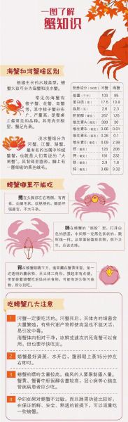蟹哪些部位不能吃图解_蟹腮蟹胃蟹心在哪-第3张图片-山城妙识 蟹哪些部位不能吃图解_蟹腮蟹胃蟹心在哪-第3张图片-山城妙识