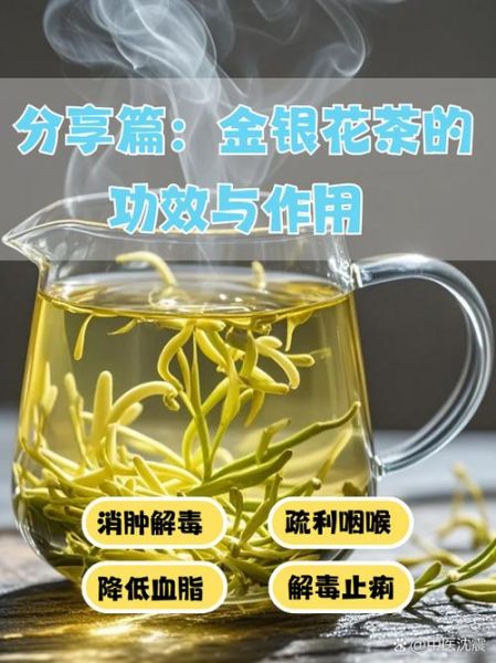 金银花茶的功效与作用_金银花茶能天天喝吗-第1张图片-山城妙识 金银花茶的功效与作用_金银花茶能天天喝吗-第1张图片-山城妙识