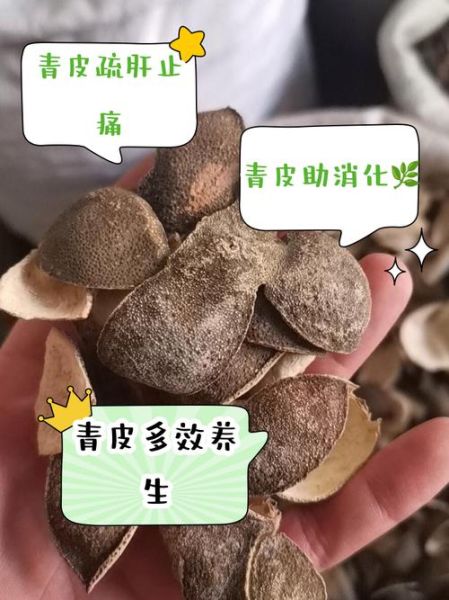 醋青皮的功效与作用_醋青皮能长期吃吗-第2张图片-山城妙识