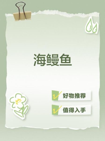 海鳗插件怎么用_海鳗插件安全吗-第1张图片-山城妙识