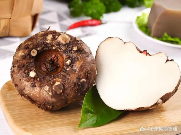 魔芋长什么样_魔芋图片真实样子-第2张图片-山城妙识 魔芋长什么样_魔芋图片真实样子-第2张图片-山城妙识