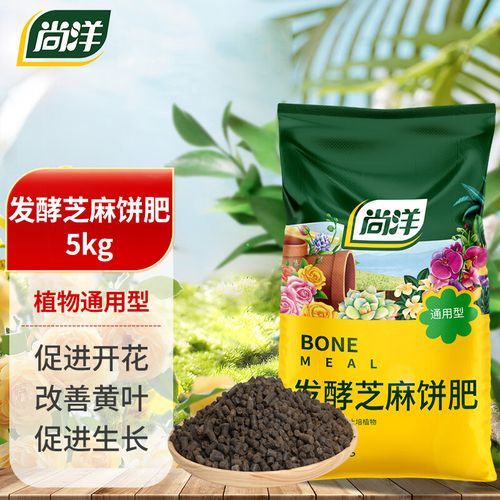豆饼肥适合哪些植物_豆饼肥使用禁忌-第2张图片-山城妙识 豆饼肥适合哪些植物_豆饼肥使用禁忌-第2张图片-山城妙识