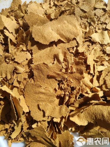 豆饼肥适合哪些植物_豆饼肥使用禁忌-第3张图片-山城妙识 豆饼肥适合哪些植物_豆饼肥使用禁忌-第3张图片-山城妙识
