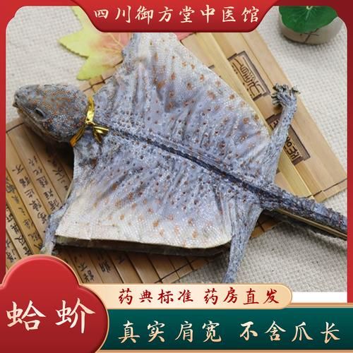 蛤蚧为什么一对买_蛤蚧一对购买原因-第2张图片-山城妙识 蛤蚧为什么一对买_蛤蚧一对购买原因-第2张图片-山城妙识