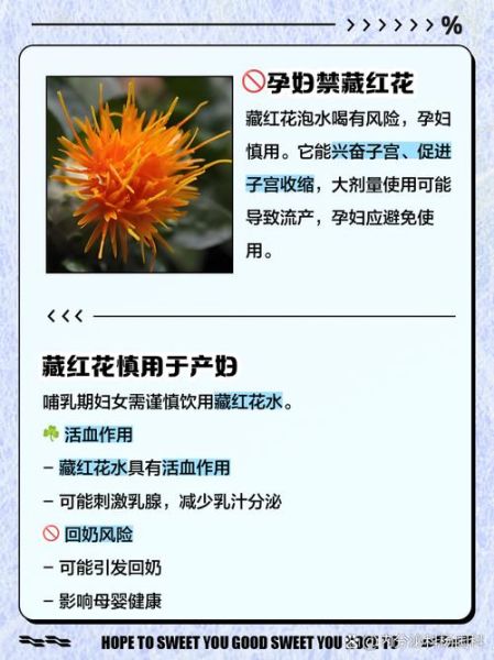 男人吃藏红花的好处与坏处_藏红花对男性性功能有用吗-第3张图片-山城妙识 男人吃藏红花的好处与坏处_藏红花对男性性功能有用吗-第3张图片-山城妙识