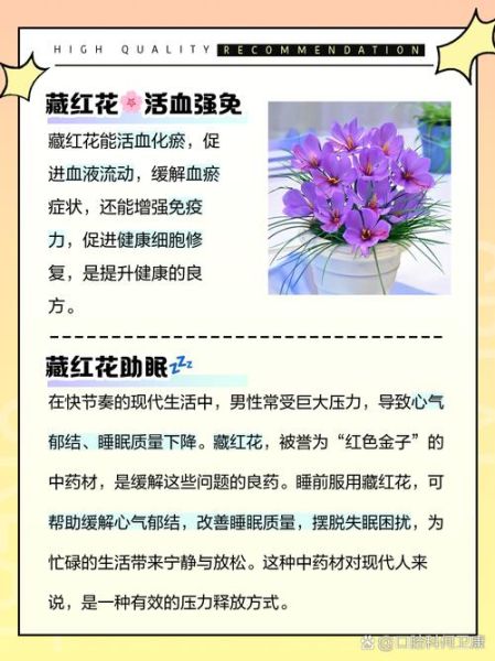 男人吃藏红花的好处与坏处_藏红花对男性性功能有用吗-第2张图片-山城妙识 男人吃藏红花的好处与坏处_藏红花对男性性功能有用吗-第2张图片-山城妙识
