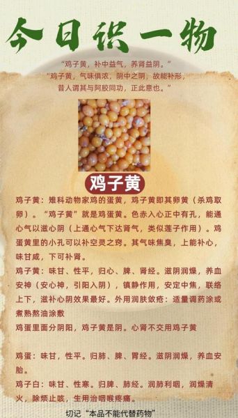 鸡子黄是什么_鸡子黄的功效与作用-第1张图片-山城妙识 鸡子黄是什么_鸡子黄的功效与作用-第1张图片-山城妙识