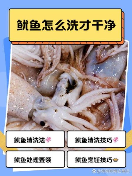 鱿鱼仔怎么处理_新鲜鱿鱼仔清洗步骤-第1张图片-山城妙识