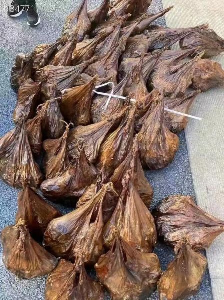 鹿胎粉的功效与作用_鹿胎粉适合什么人吃-第2张图片-山城妙识 鹿胎粉的功效与作用_鹿胎粉适合什么人吃-第2张图片-山城妙识