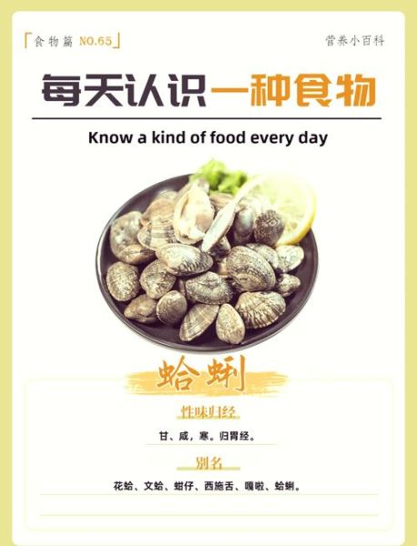女人吃蛤蜊的好处_蛤蜊对女人有哪些功效-第2张图片-山城妙识 女人吃蛤蜊的好处_蛤蜊对女人有哪些功效-第2张图片-山城妙识