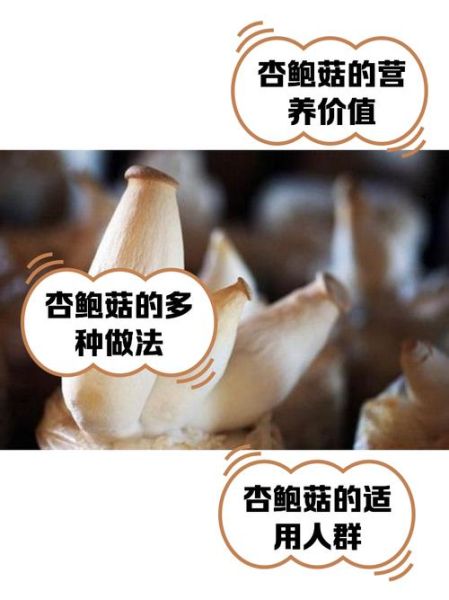 阿魏菇和杏鲍菇的区别_哪个更营养-第1张图片-山城妙识 阿魏菇和杏鲍菇的区别_哪个更营养-第1张图片-山城妙识