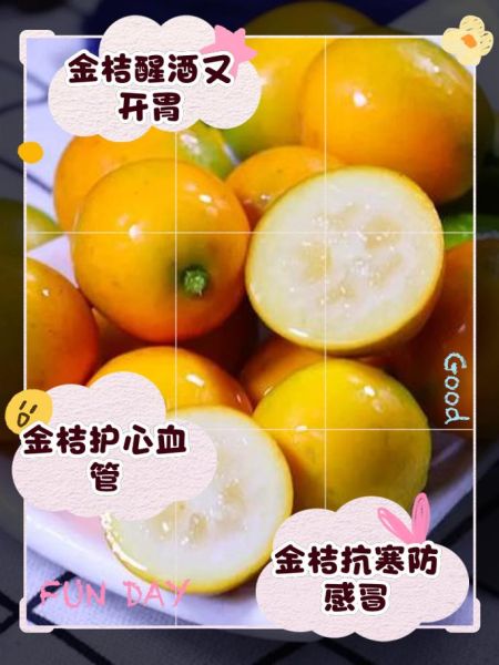 金桔的功效与作用禁忌_金桔吃多了会上火吗-第2张图片-山城妙识 金桔的功效与作用禁忌_金桔吃多了会上火吗-第2张图片-山城妙识