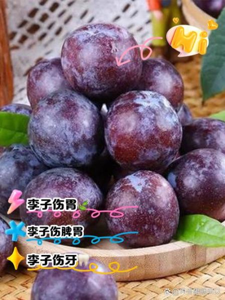 李子吃多了会怎么样_李子吃多了会拉肚子吗-第1张图片-山城妙识 李子吃多了会怎么样_李子吃多了会拉肚子吗-第1张图片-山城妙识