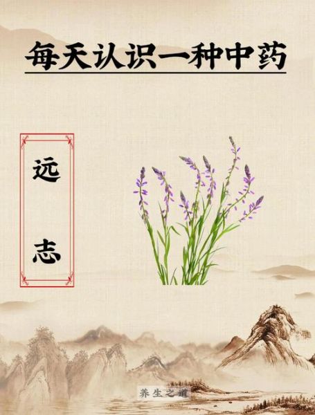 远志和酸枣仁把人吃死了_中毒真相-第1张图片-山城妙识 远志和酸枣仁把人吃死了_中毒真相-第1张图片-山城妙识