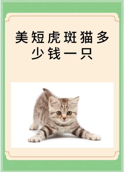 老虎斑多少钱一斤_老虎斑价格行情-第1张图片-山城妙识 老虎斑多少钱一斤_老虎斑价格行情-第1张图片-山城妙识