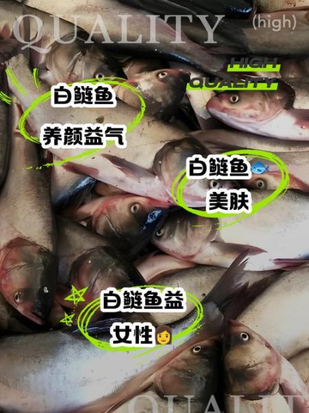 白鲢鱼的营养价值及功效与作用_白鲢鱼适合什么人吃-第3张图片-山城妙识 白鲢鱼的营养价值及功效与作用_白鲢鱼适合什么人吃-第3张图片-山城妙识