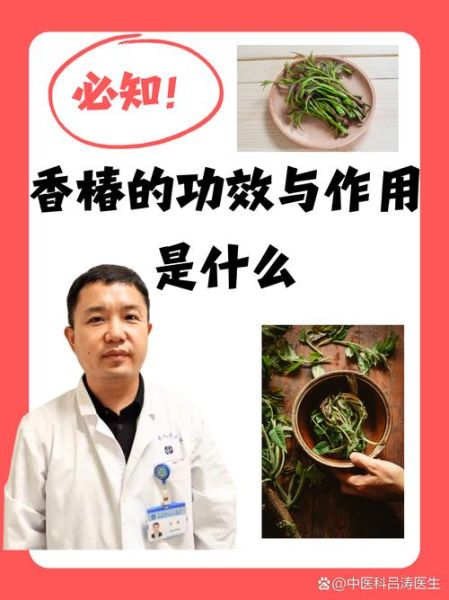 香椿功效有哪些_香椿怎么吃最养生-第1张图片-山城妙识