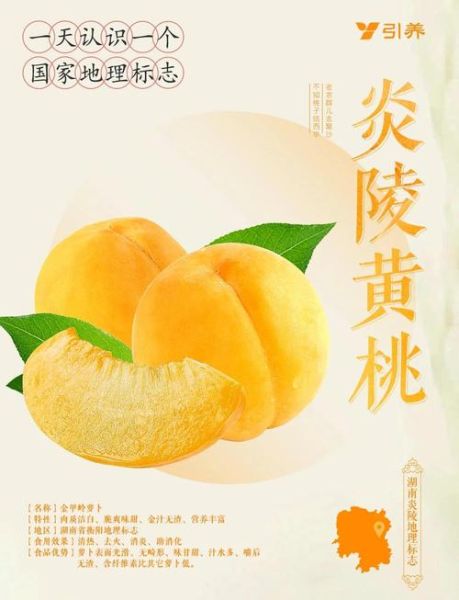 黄桃的功效与作用_黄桃吃多了有什么害处-第1张图片-山城妙识
