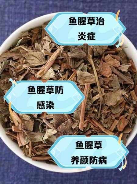鱼腥草治妇科炎症怎么用_鱼腥草坐浴的正确方法-第1张图片-山城妙识 鱼腥草治妇科炎症怎么用_鱼腥草坐浴的正确方法-第1张图片-山城妙识