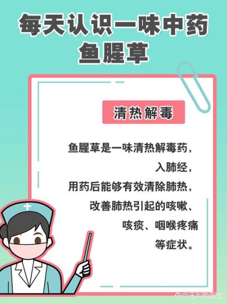 鱼腥草治妇科炎症怎么用_鱼腥草坐浴的正确方法-第3张图片-山城妙识 鱼腥草治妇科炎症怎么用_鱼腥草坐浴的正确方法-第3张图片-山城妙识