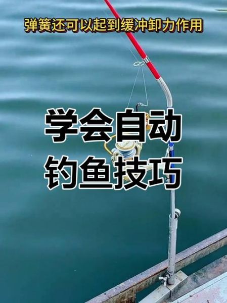 钓鱼视频大全播放_新手如何快速上手-第2张图片-山城妙识