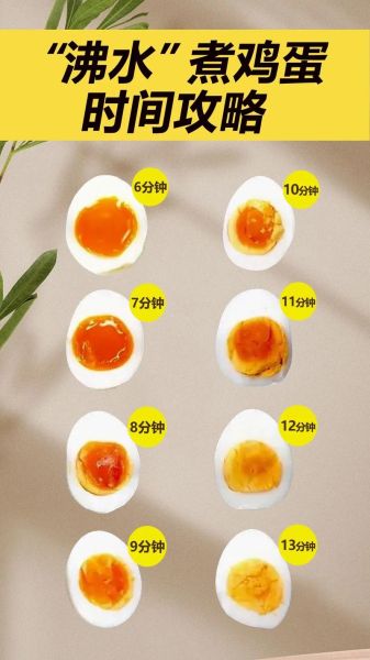 鹌鹑蛋煮几分钟能熟_鹌鹑蛋要煮多久才熟-第1张图片-山城妙识
