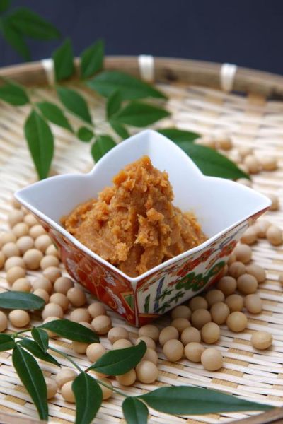 黄豆酱可以代替黄酱吗_区别与替代技巧-第1张图片-山城妙识 黄豆酱可以代替黄酱吗_区别与替代技巧-第1张图片-山城妙识