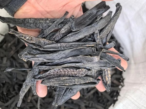 水蛭的功效与作用价格_水蛭多少钱一斤-第3张图片-山城妙识 水蛭的功效与作用价格_水蛭多少钱一斤-第3张图片-山城妙识