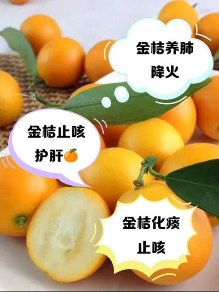 金桔上火还是降火_金桔吃多了会上火吗-第1张图片-山城妙识 金桔上火还是降火_金桔吃多了会上火吗-第1张图片-山城妙识
