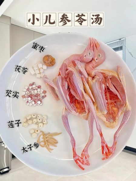 鸽子汤怎么炖适合小孩_小孩喝鸽子汤的做法-第2张图片-山城妙识 鸽子汤怎么炖适合小孩_小孩喝鸽子汤的做法-第2张图片-山城妙识