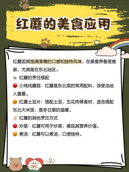 红菇怎么做好吃_红菇的做法大全-第1张图片-山城妙识 红菇怎么做好吃_红菇的做法大全-第1张图片-山城妙识