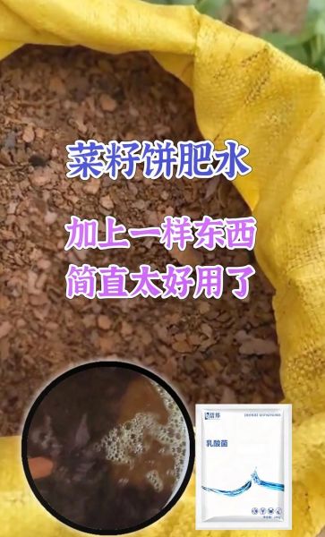 菜籽饼怎么发酵_菜籽饼可以直接施肥吗-第2张图片-山城妙识 菜籽饼怎么发酵_菜籽饼可以直接施肥吗-第2张图片-山城妙识