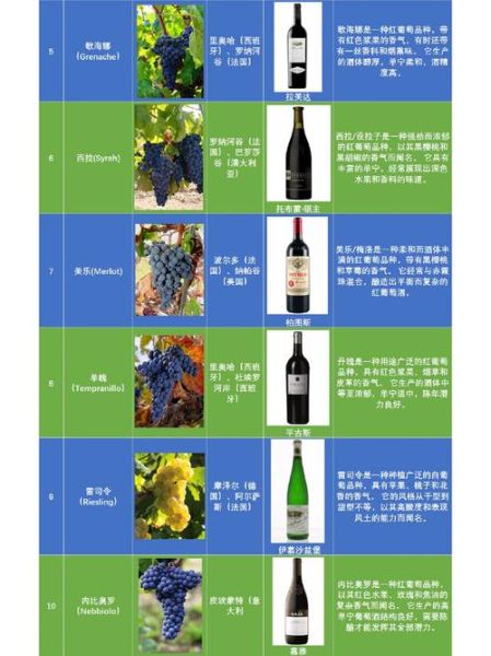 酿酒葡萄品种有哪些_如何挑选适合酿酒的葡萄-第1张图片-山城妙识 酿酒葡萄品种有哪些_如何挑选适合酿酒的葡萄-第1张图片-山城妙识