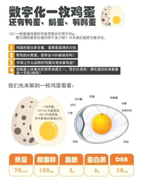 鸡蛋的营养价值及功效与作用_鸡蛋的禁忌有哪些-第2张图片-山城妙识 鸡蛋的营养价值及功效与作用_鸡蛋的禁忌有哪些-第2张图片-山城妙识