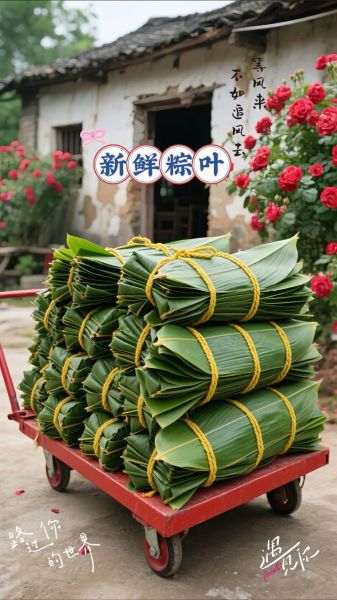 鲜粽叶怎么处理才能包粽子_粽叶处理步骤详解-第1张图片-山城妙识 鲜粽叶怎么处理才能包粽子_粽叶处理步骤详解-第1张图片-山城妙识