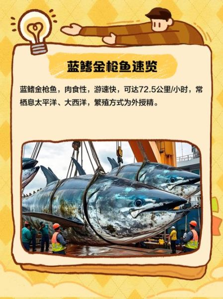 蓝鳍金枪鱼一条大概多少钱_蓝鳍金枪鱼价格影响因素-第1张图片-山城妙识 蓝鳍金枪鱼一条大概多少钱_蓝鳍金枪鱼价格影响因素-第1张图片-山城妙识