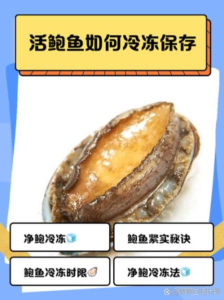 鲍鱼怎么保存_鲍鱼怎么清洗-第1张图片-山城妙识 鲍鱼怎么保存_鲍鱼怎么清洗-第1张图片-山城妙识