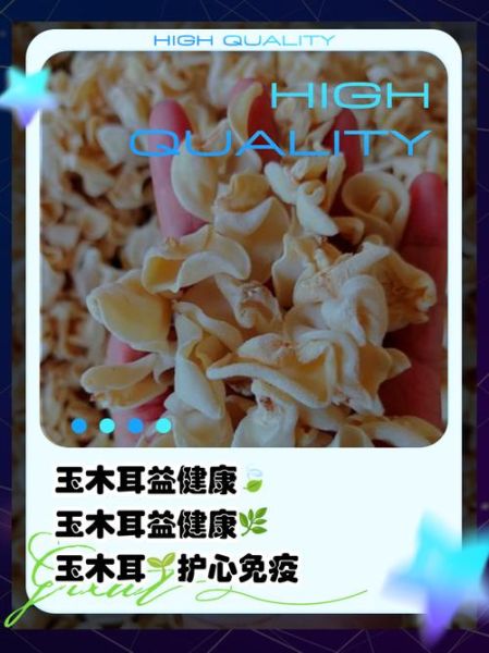 玉木耳的功效与作用禁忌_哪些人不能吃-第2张图片-山城妙识